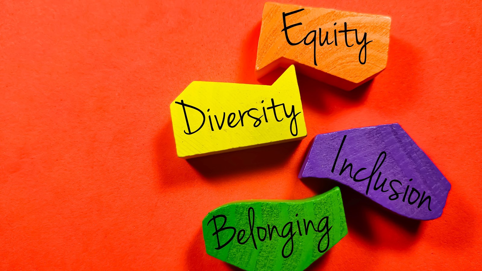 Inclusive Education Month